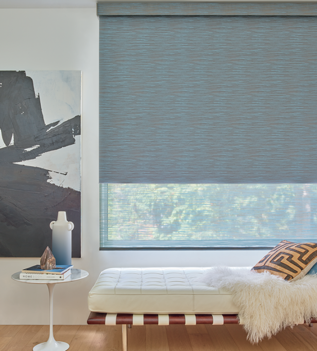 Dual Shades with the Duolite® Dual Shade System | Reno, NV